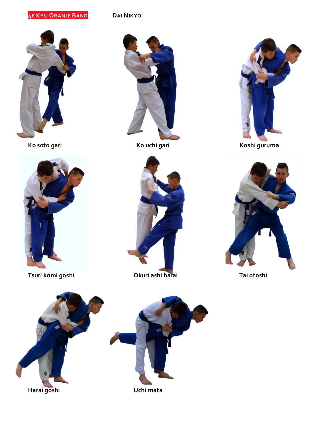 Judo Buba Judo En Jiu Jitsu